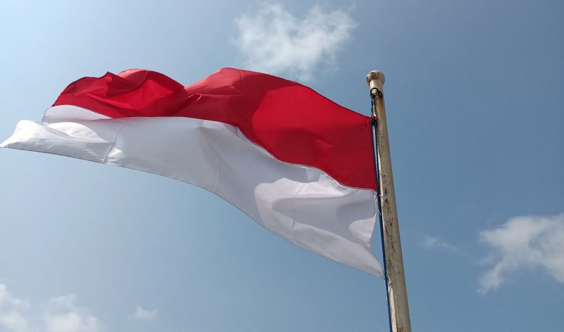 PLN's Milestone: Indonesia's First Green Hydrogen Plant Unveiled in ...