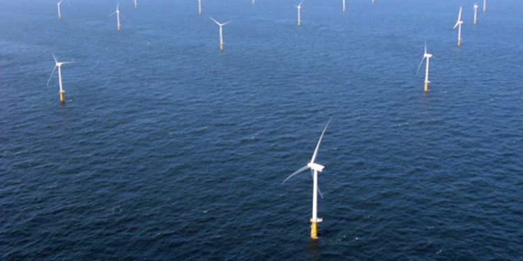 Ecowende and Waardenburg Ecology Forge Path Towards Nature-Friendly ...